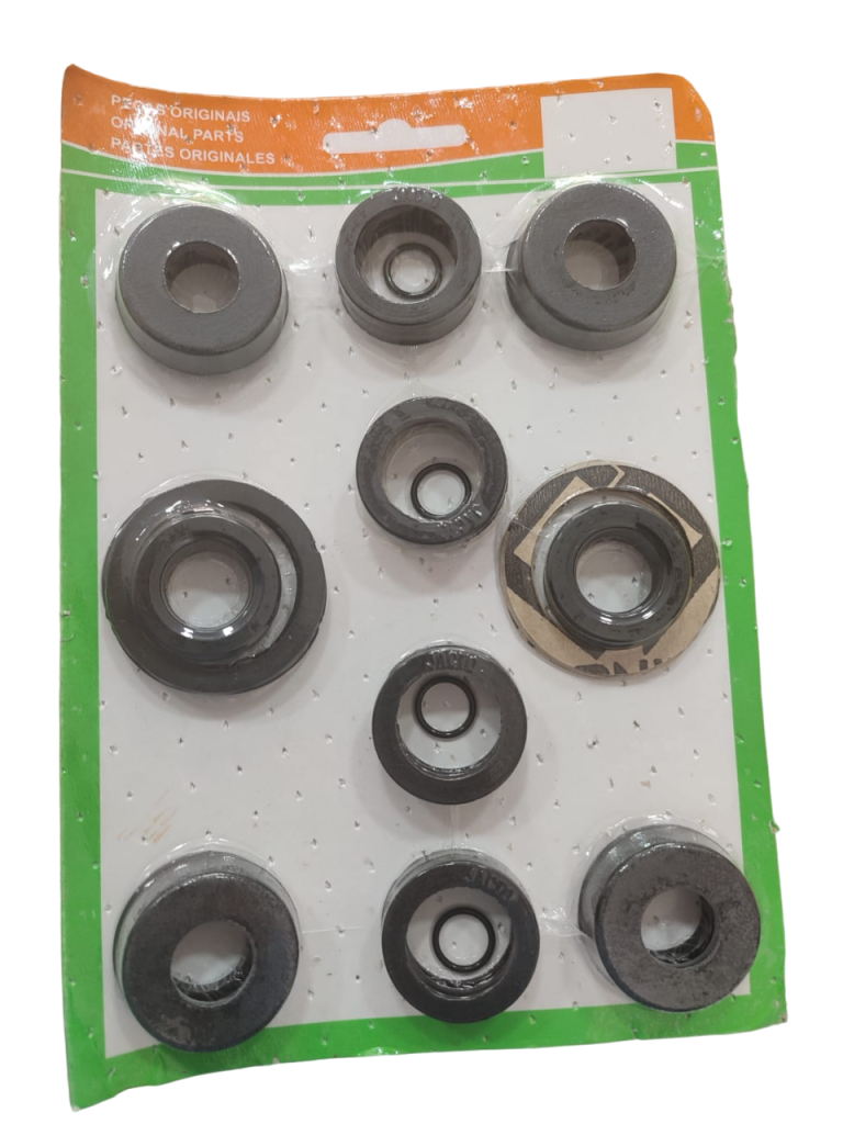KIT REPARO BOMBA JP 100 – Aplic Certo